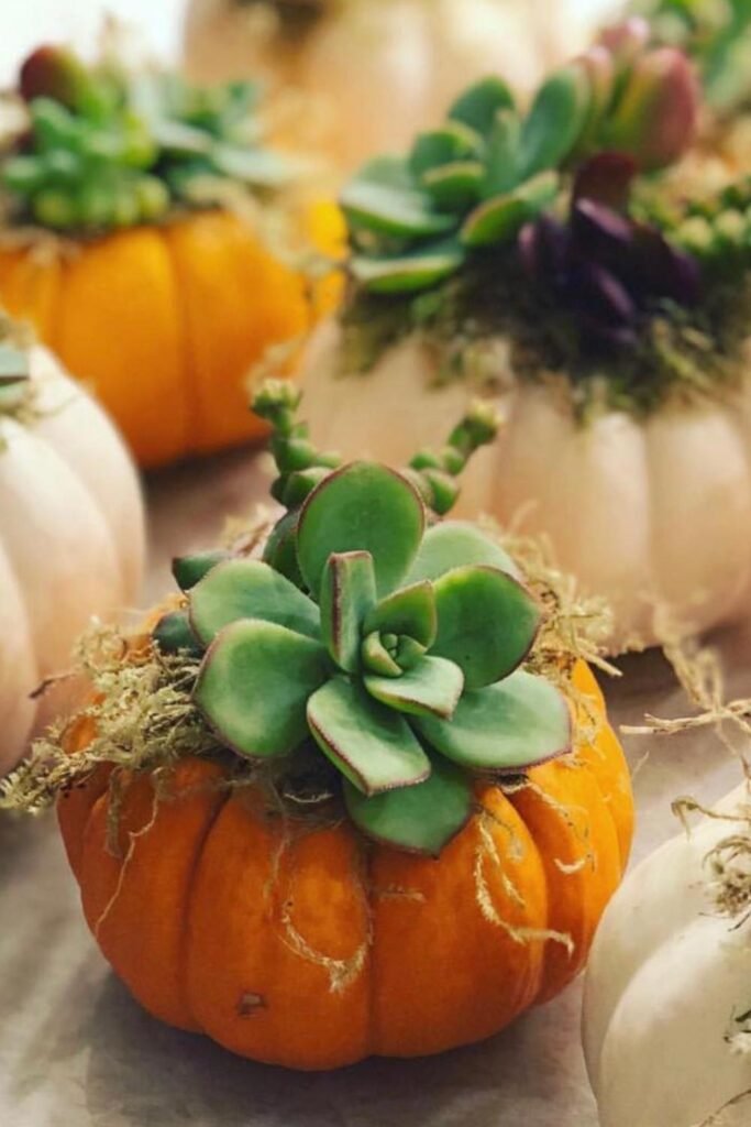 24 Amazing Halloween Party Favors Based On Your Party Vibe - THE CHIC QUOTA
